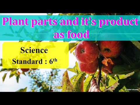 Plant parts and product as food| plant’s food | animal’s food | ncert science | science in english