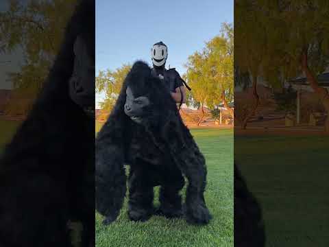Unboxing my 8ft tall Gorilla Suit! 😳🦍 #halloween #mask #creepy #gorilla #unboxing #costume