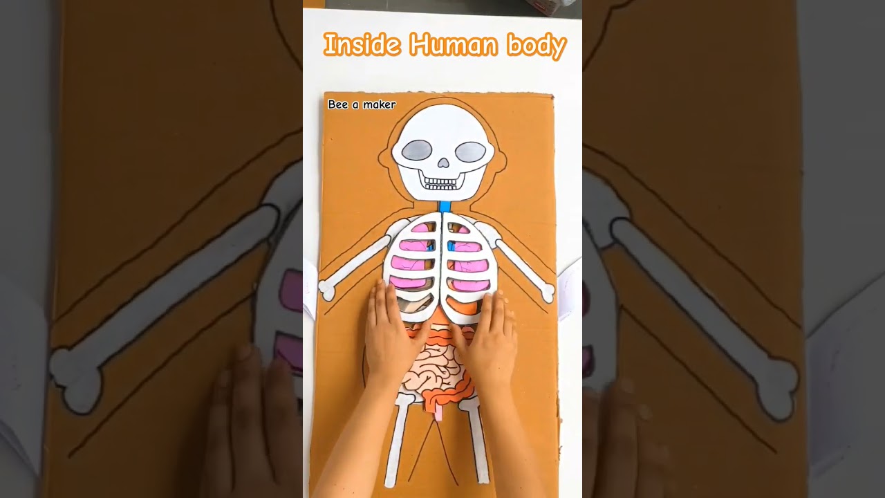 Inside Human body interactive hands on learning activity