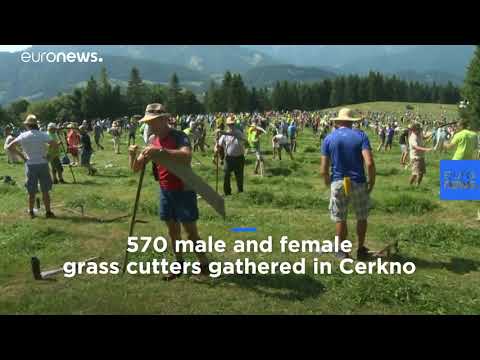 Watch Slovenians gather to set Guinness World Record in scything