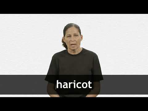 English Translation of “HARICOT” | Collins French-English Dictionary
