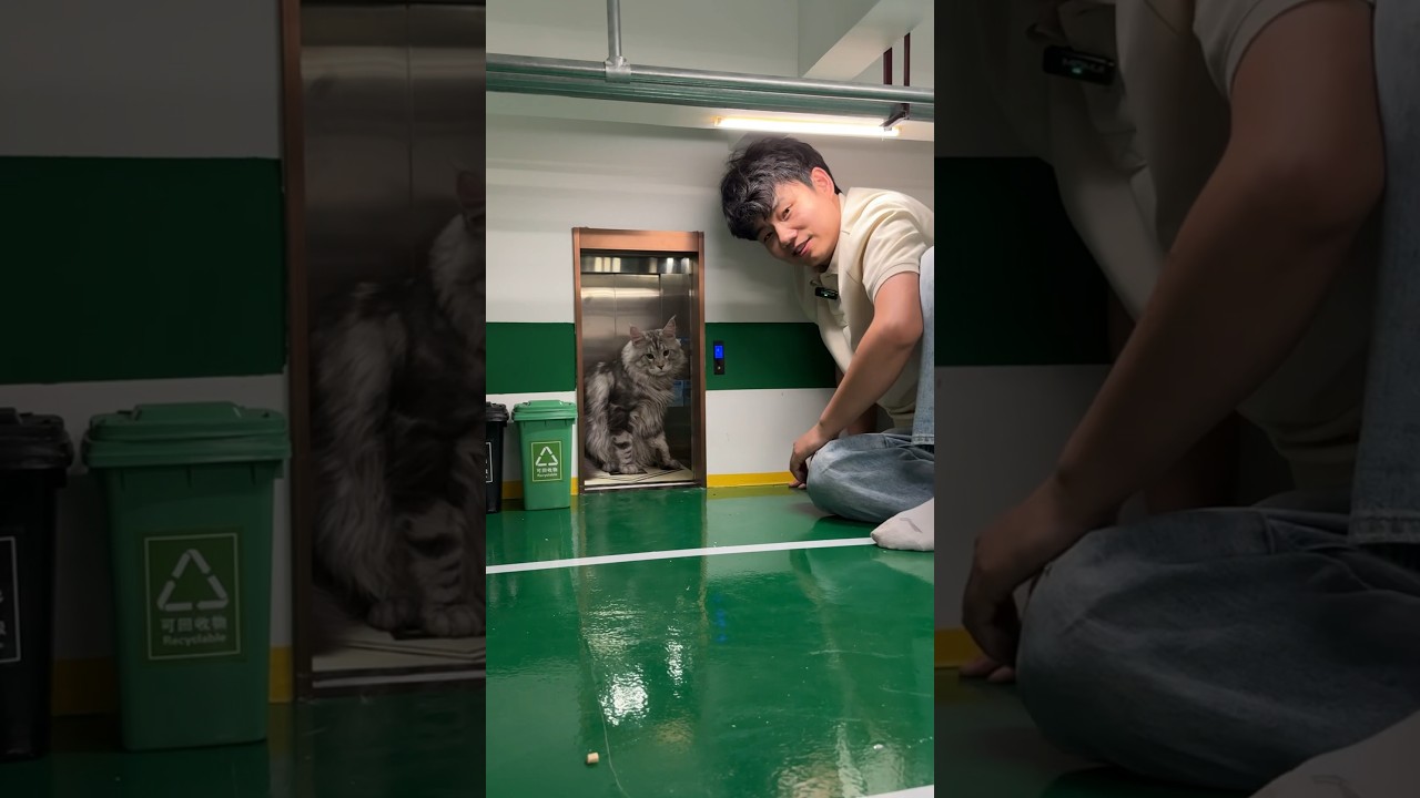 Does the Mini-Elevator really work? Q&A with Mr. Nice pt 4 - Behind the Scenes at Xing's World