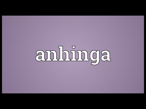 Anhinga Meaning
