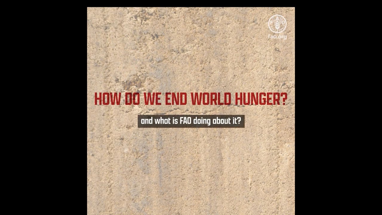 FAO Explainer