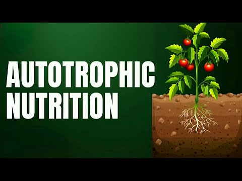 Autotrophic Nutrition ||Full Concept learning ||With Animation