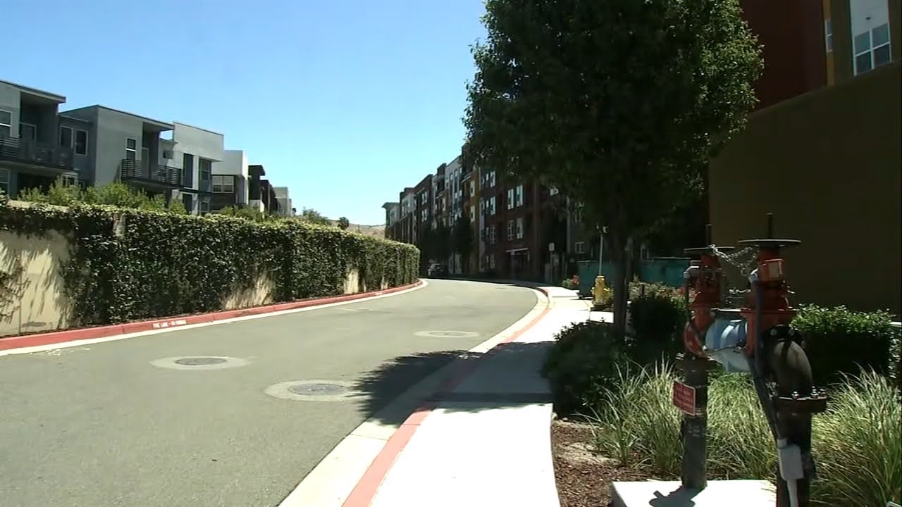 Milpitas mom arrested for filing false report of 'missing' 9-year-old son, police say