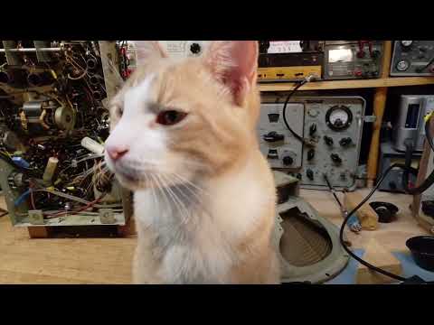 Gigantic RCA Victor Model 911KG Video #21 - Antennas