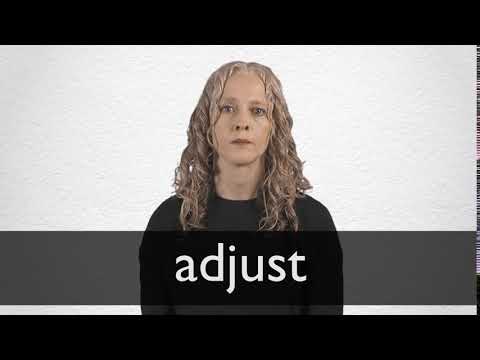 ADJUST 释义 | 柯林斯英语词典