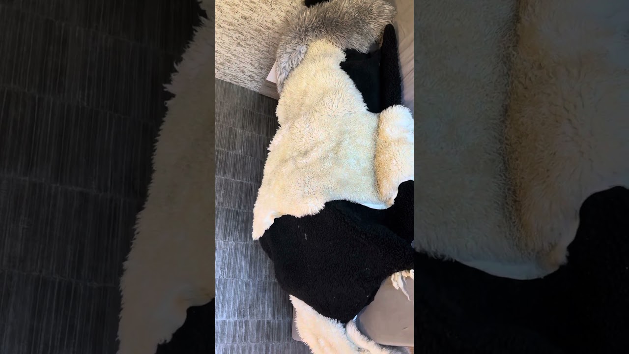 Fur Fetish Bondage 17