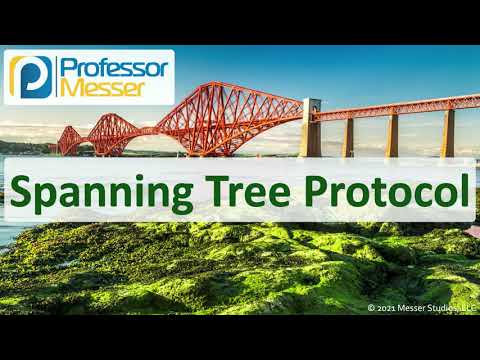 Spanning Tree Protocol - N10-008 CompTIA Network+ : 2.3