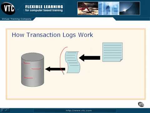 Transaction log: how to maximize and improve Transaction log taxonomy ...