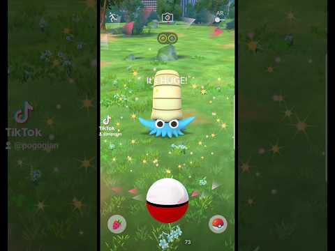 Wow A Huge Omanyte In The Wild! 8/7/2024