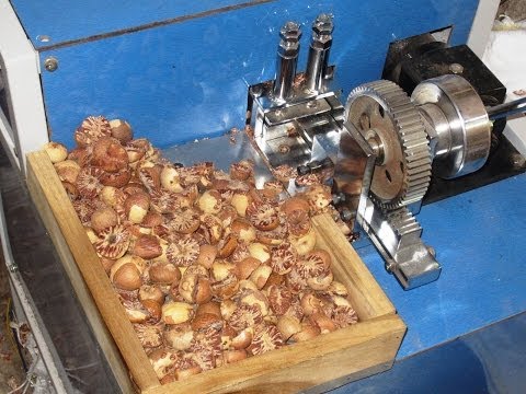 Supari Cutting Machine - Areca Nut Cutting Machine Latest Price ...