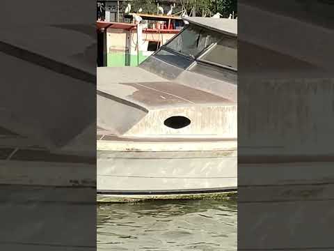 Barcos abodonado na angras dos reis RJ os barcos à venda
