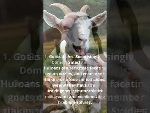 3 Interesting Facts About Goats