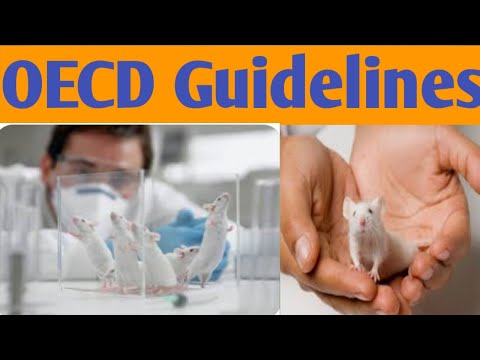 OECD guidelines of Toxicity Study| OECD 420| Pre PhD Exam #oecd #oecd420 #toxicitystudy