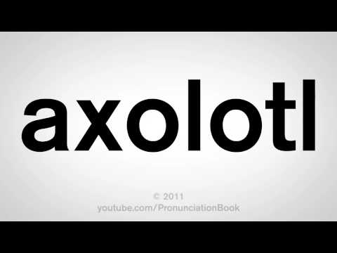 How To Pronounce Axolotl