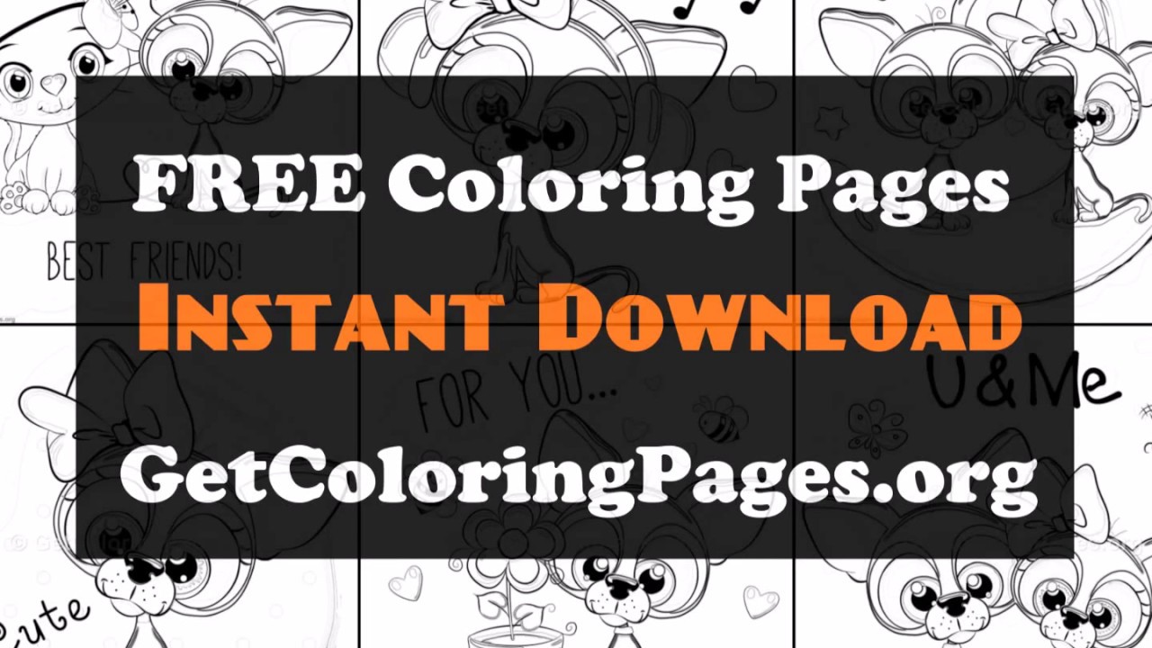 Realistic puppy coloring pages