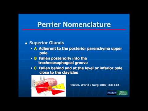 Parathyroid Glands ultrasound