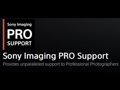 Sony Pro camera support