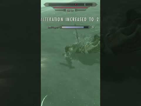 MOST OP SPELLS IN SKYRIM part 1 | Paralysis Rune