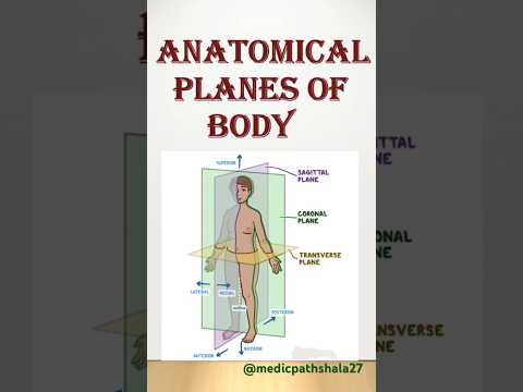 ANATOMICAL PLANES OF BODY