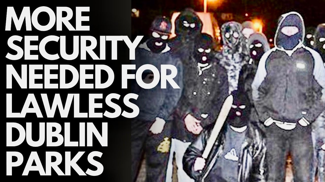 PRIVATE SECURITY UNITS HIRED TO PATROL DUBLIN PARKS?