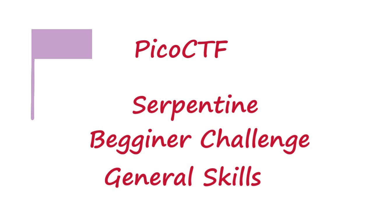 PicoCTF 2022 - Serpentine | picoMini General Skills Challenges