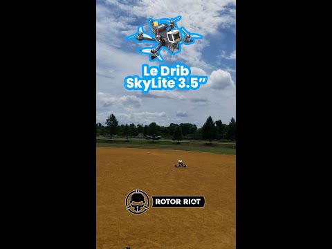 Tell me how fast that drone was! Rotor Riot Le Drib SkyLite 3.5" #fpv #rotorriot #short