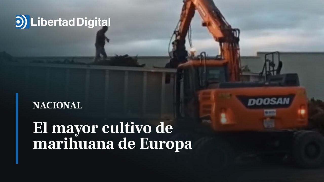 Desmantelado en Navarra el mayor cultivo de marihuana de Europa