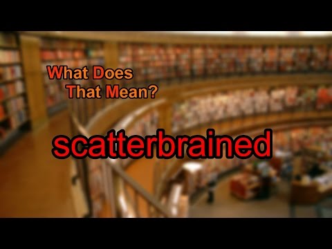 What does scatterbrained mean?