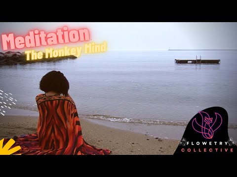Meditation №.1: The Monkey Mind