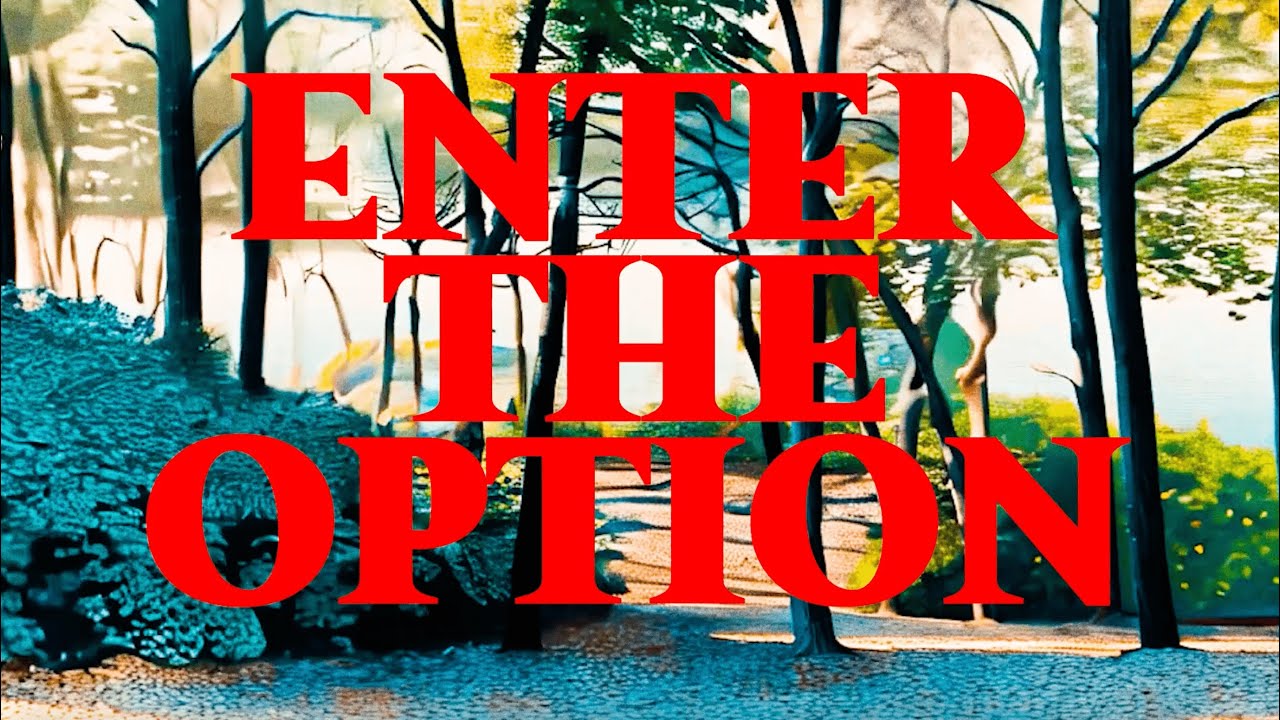Enter the option · Nim Creative Program