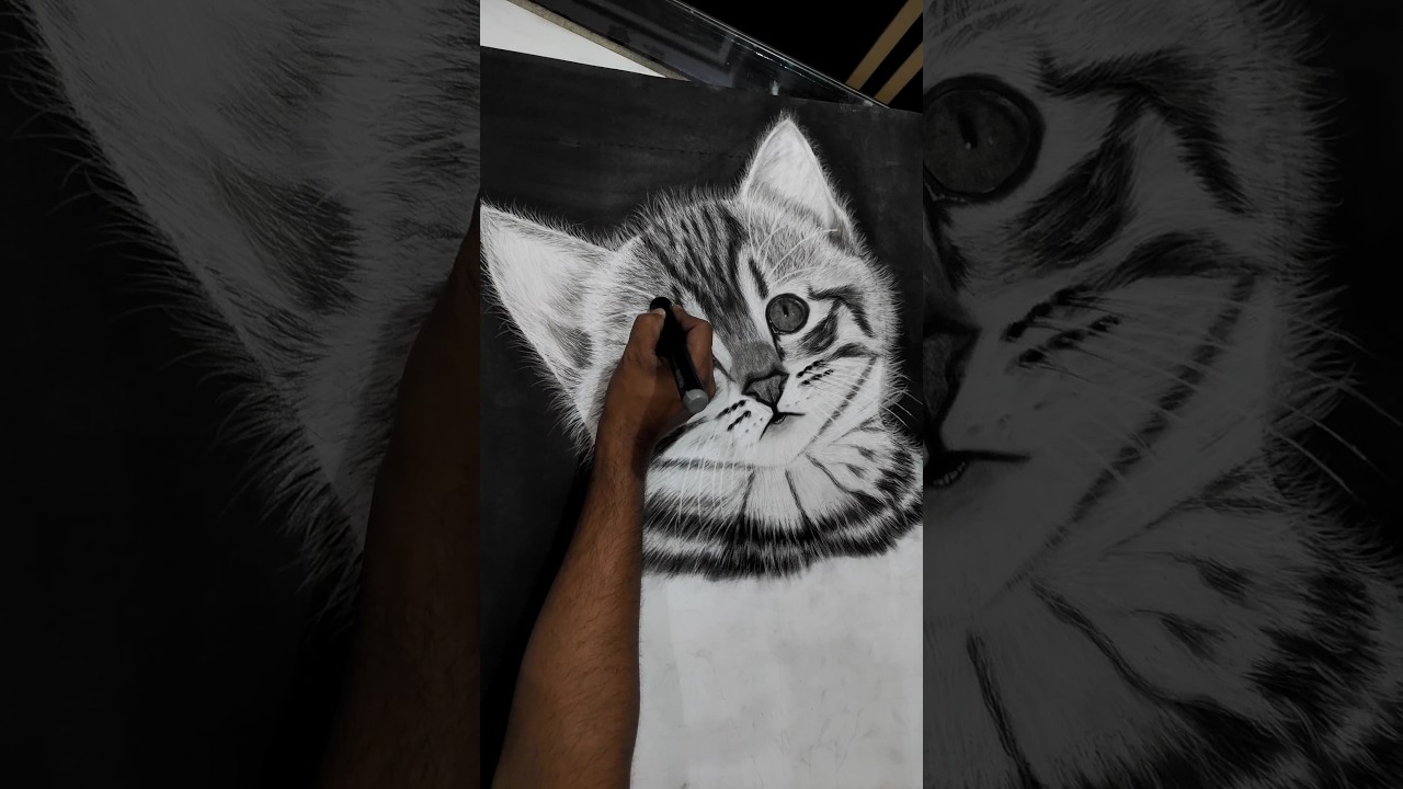 Hyper realistic cat drawing part 6 | charcoal art #shorts #art