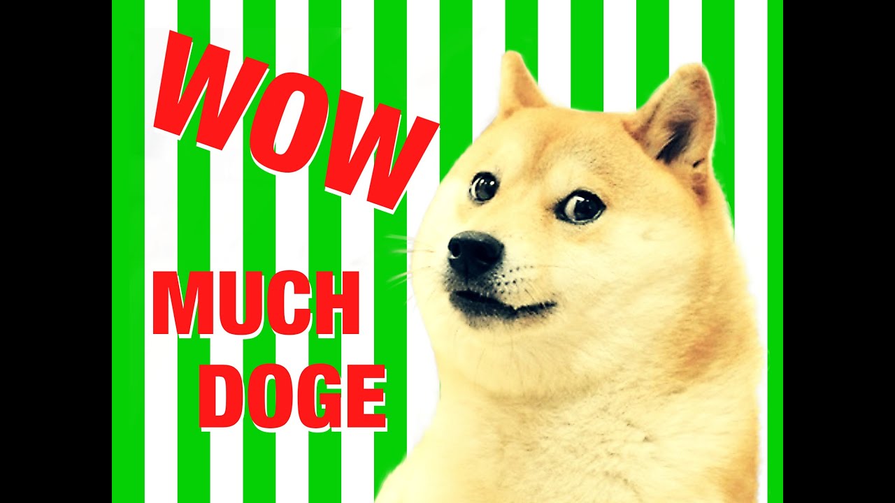 Doge GIF Compilation 🐕