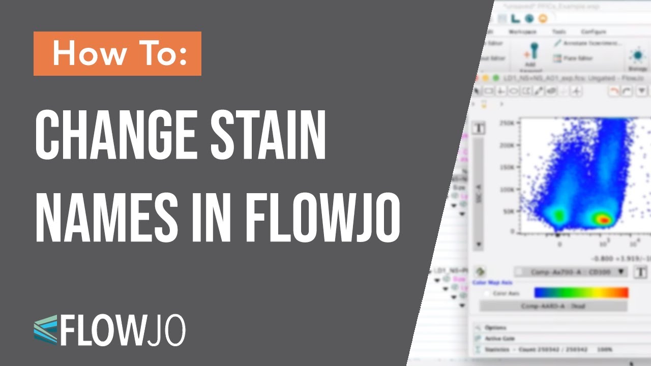 Change Stain Name in FlowJo