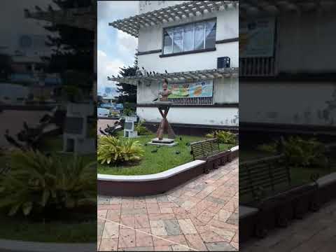 Noticias de Coatepeque Quetzaltenango | Municipalidades de Guatemala