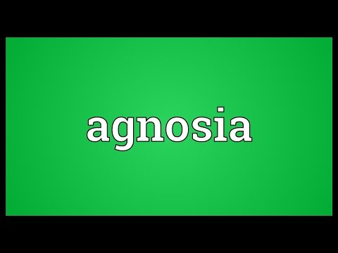 Agnosia Meaning