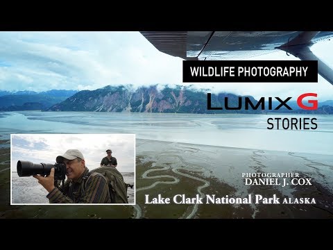 Wildlife Photography in 4K | Daniel J. Cox, Alaska | LUMIX G Stories
