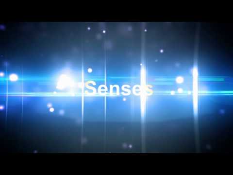 Senses