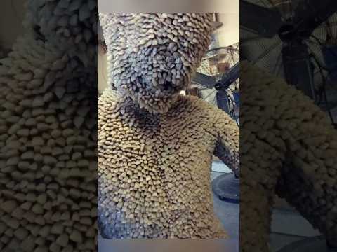 Unbelievable Rare Photos You Have to See to Believe