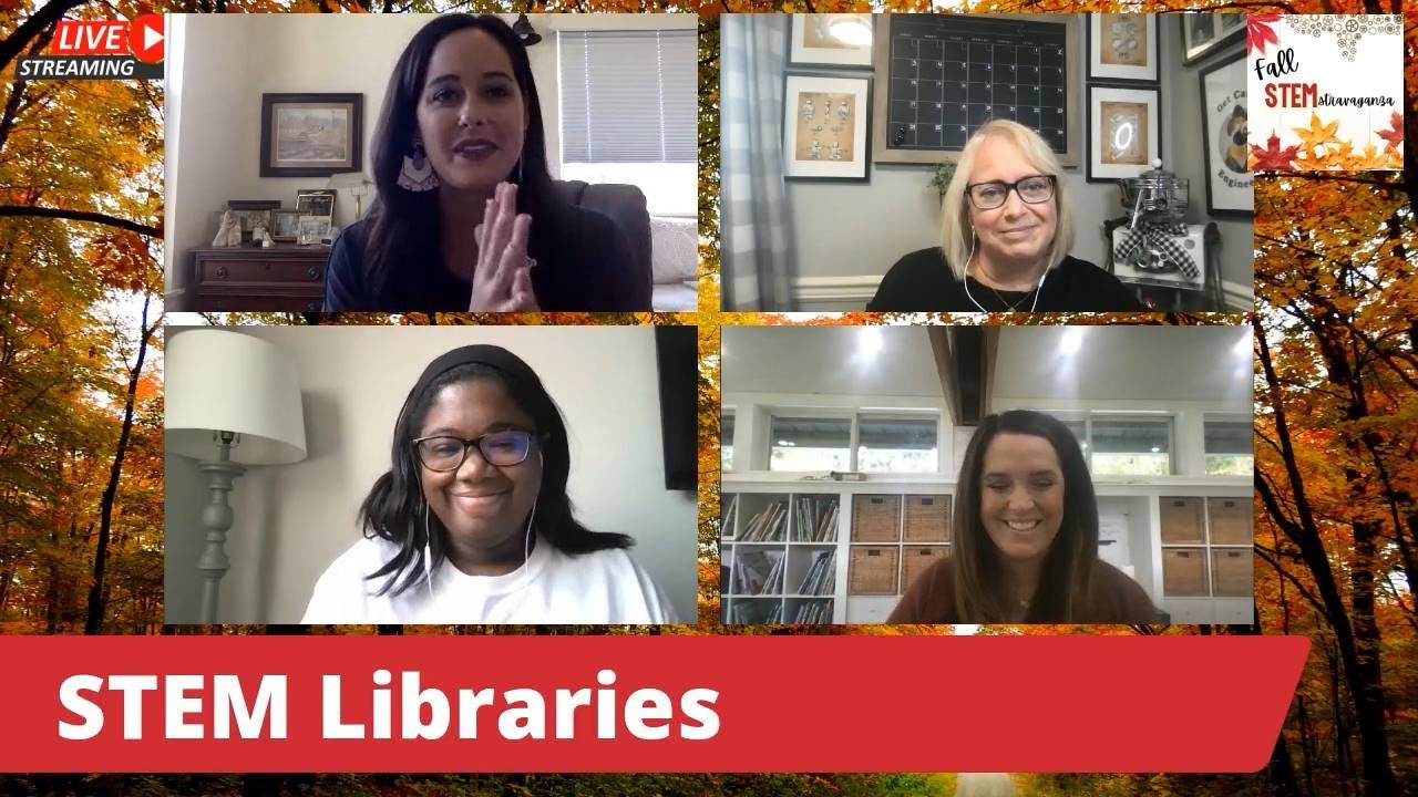 STEM Libraries Panel