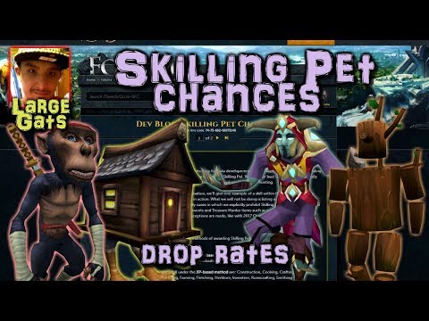 Skilling pet chances - Drop rates revealed!