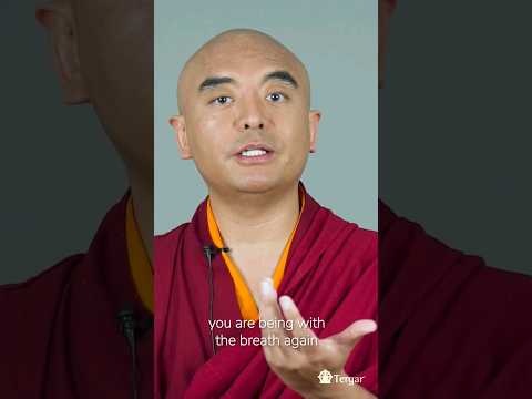 Natural breath is the beginning of developed wisdom