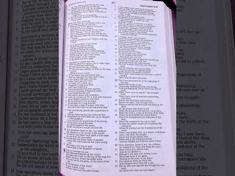 The Book of Proverbs: Proverbs 8 *Audio Only