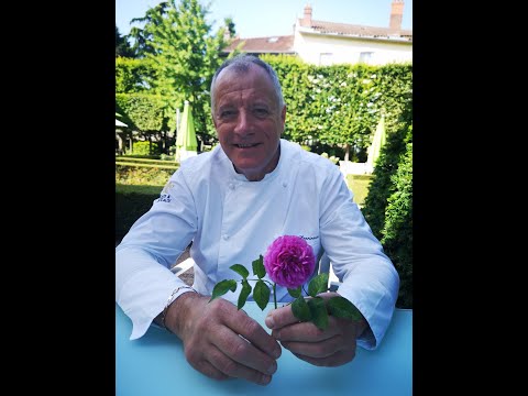 La rose du restaurant mythique la Pyramide - Vie'N'Actu 17 06 2022 Vienne Actu