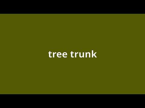 what is the meaning of tree trunk.