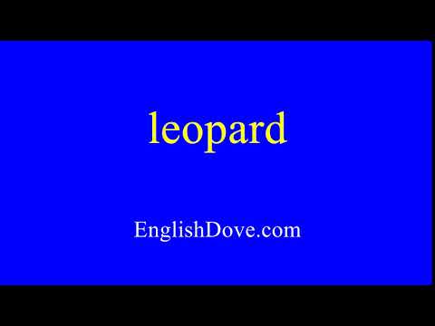 How to pronounce leopard in American English.