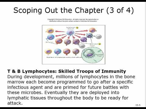 Microbiology Chapter 15 Adaptive, Specific Immunity & Immunization By  Dr  Saudi