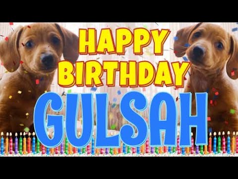 Happy Birthday Gulsah! ( Funny Talking Dogs ) What Is Free On My Birthday